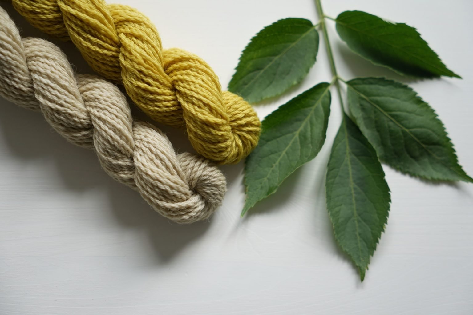 6 Garden Plants You Can Use For Natural Dyeing - Rosemary & Pines FA