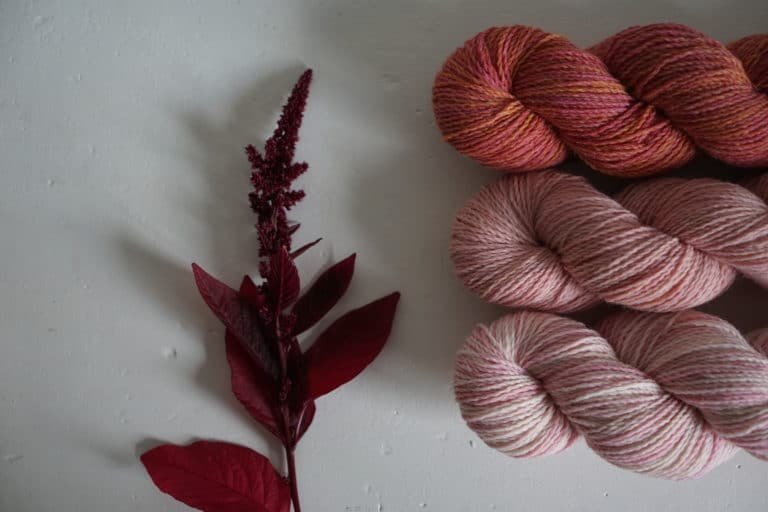 Natural Dyeing With Amaranth - Rosemary And Pines Fiber Arts
